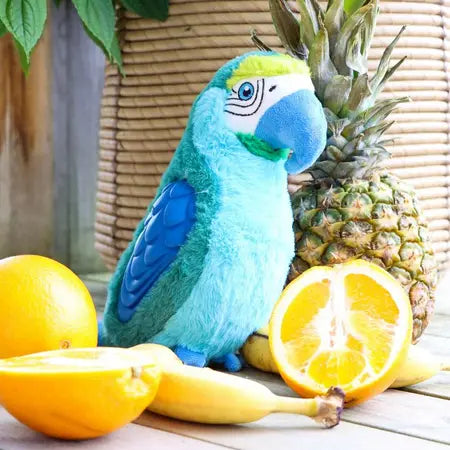 GiGwi Tropicana Parrot Large Squeaky Dog Toy-Teal – The Doggy Bag