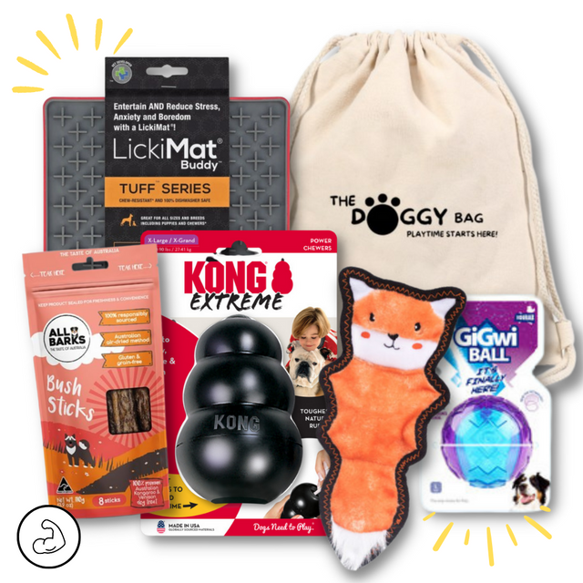Best Dog Toy and Treat Bundles for all Dogs. – The Doggy Bag