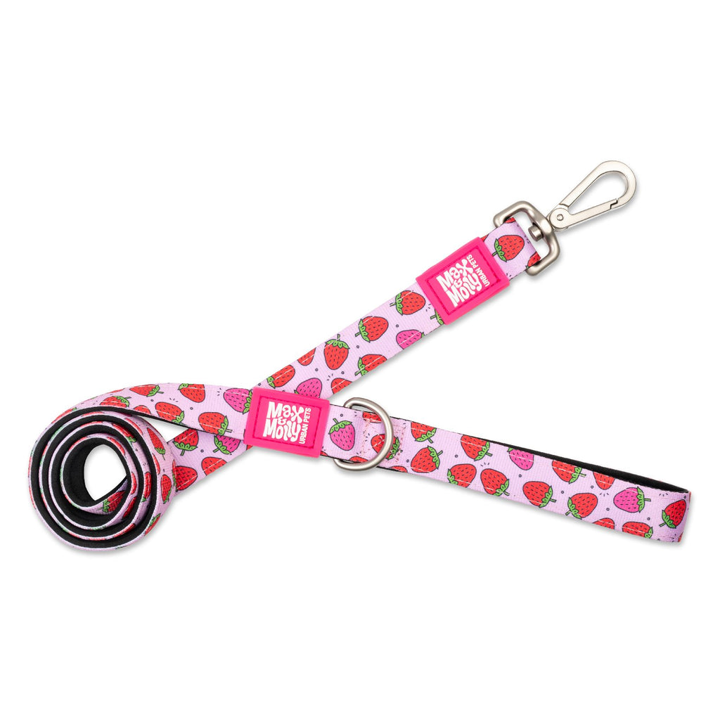 Max and Molly Dog Lead Strawberry Dream – The Doggy Bag